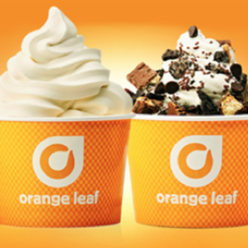 Orange Leaf: BOGO FroYo – Today Only! « Free 4 Seniors